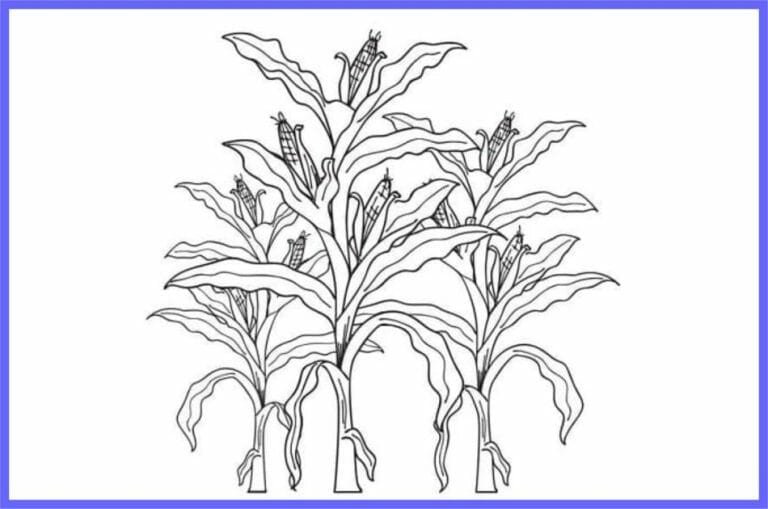 Contoh Sketsa Gambar Daun Indah, Bagus, dan Mudah Digambar