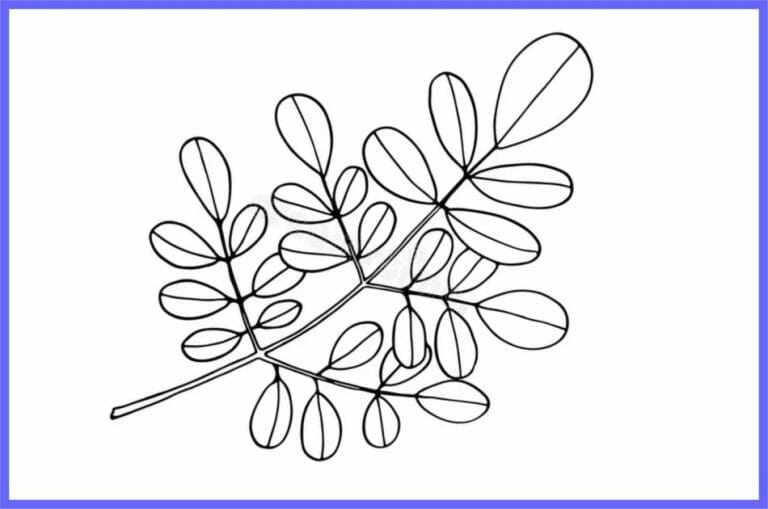 Contoh Sketsa Gambar Daun Indah, Bagus, dan Mudah Digambar