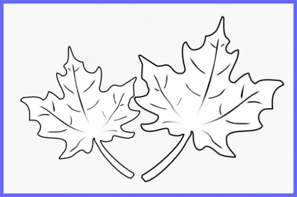 Contoh Sketsa Gambar Daun Indah, Bagus, dan Mudah Digambar